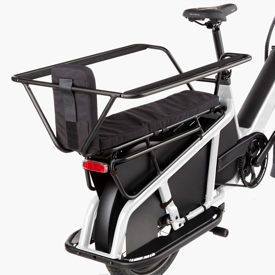 Riese & Müller Multitinker eBike Subscription - Friiway